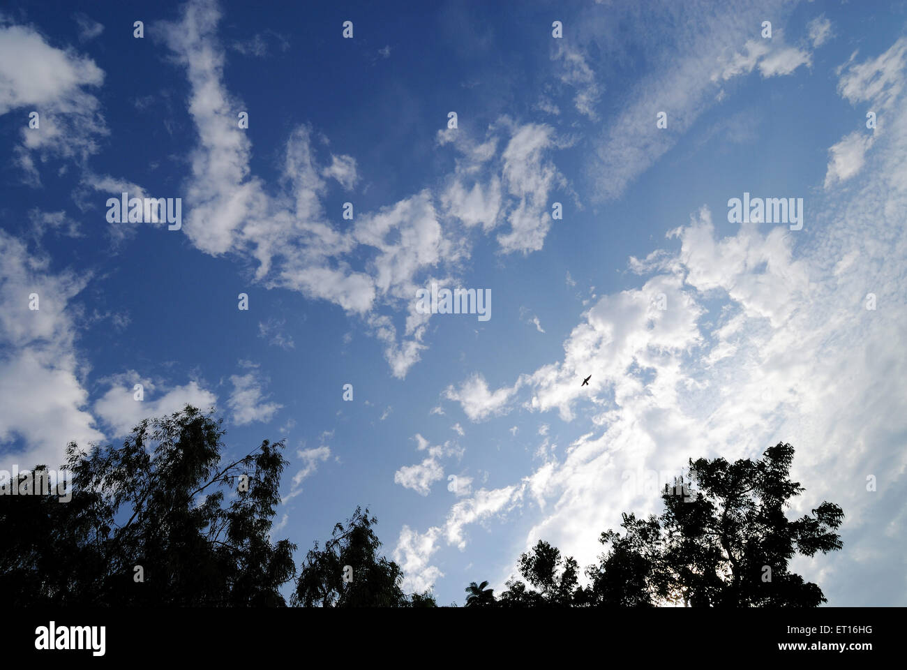 View of cloud ; India Stock Photo - Alamy