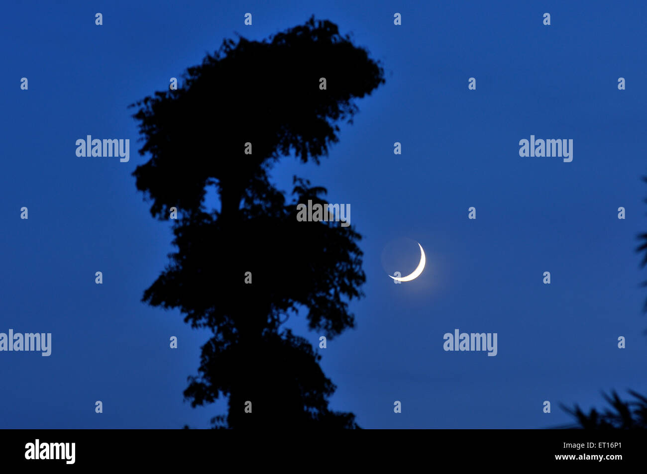 Waxing Crescent Moon