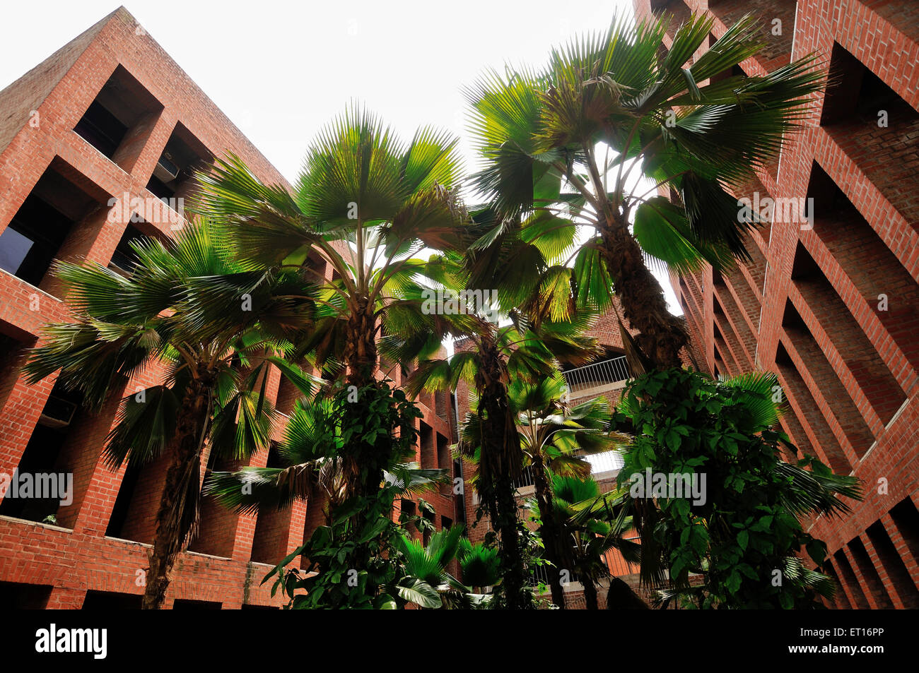 Indian institute of management ahmedabad hi-res stock photography and ...