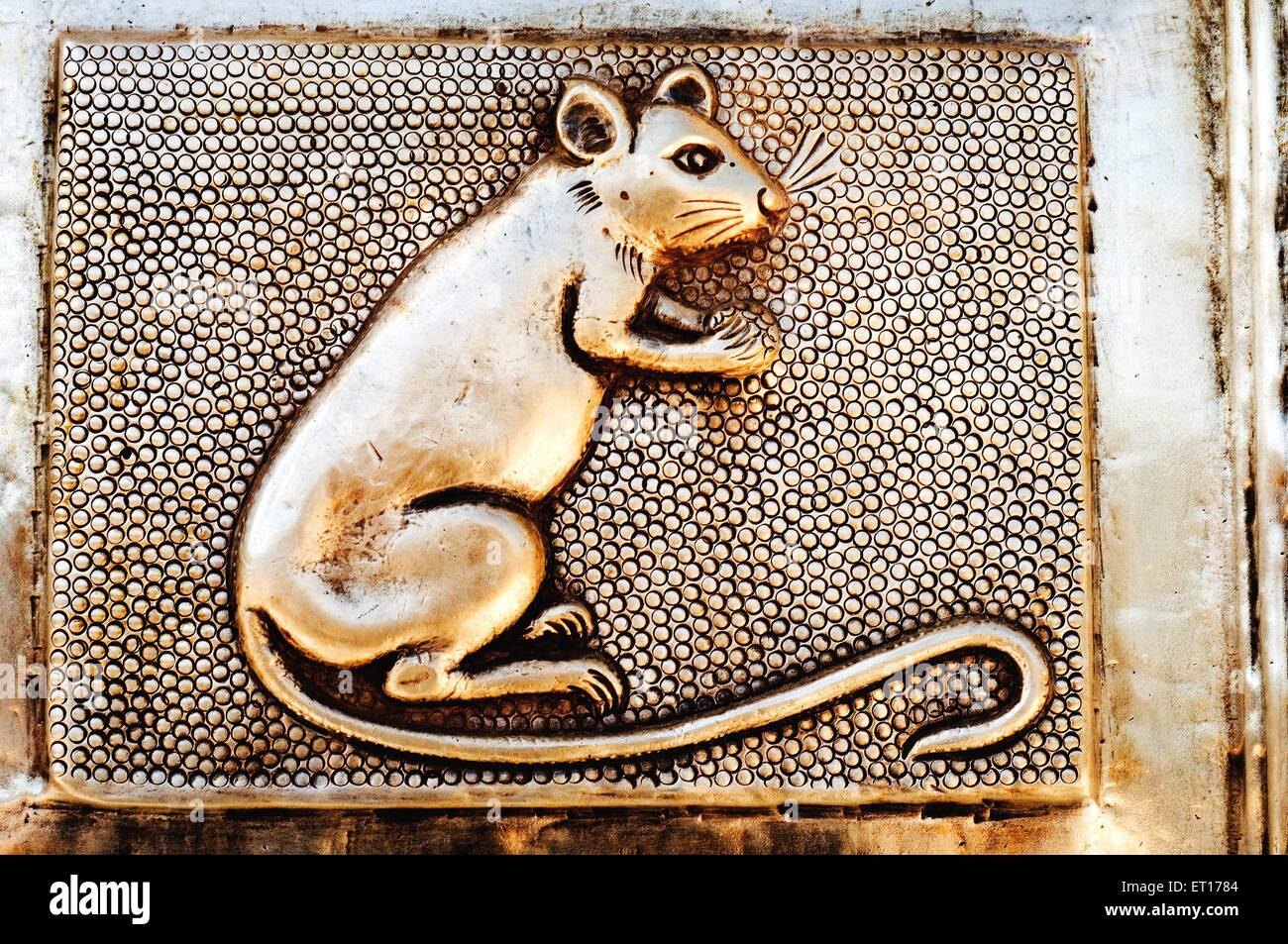 Rat Temple India High Resolution Stock Photography and Images - Alamy