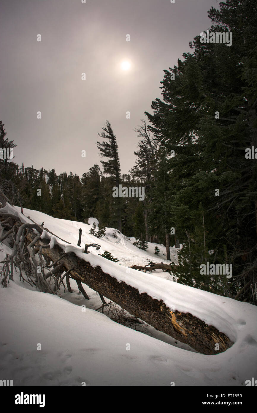 Carson pass hi-res stock photography and images - Alamy