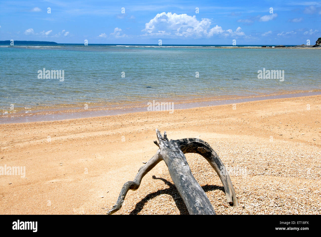 Radhanagar beach ; Havelock Islands ; Bay of Bengal ; Andaman and ...