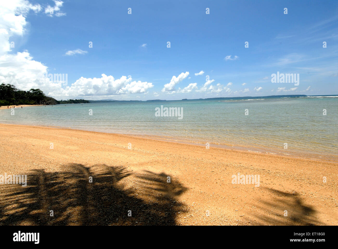 Radhanagar beach ; Havelock Islands ; Bay of Bengal ; Andaman and ...