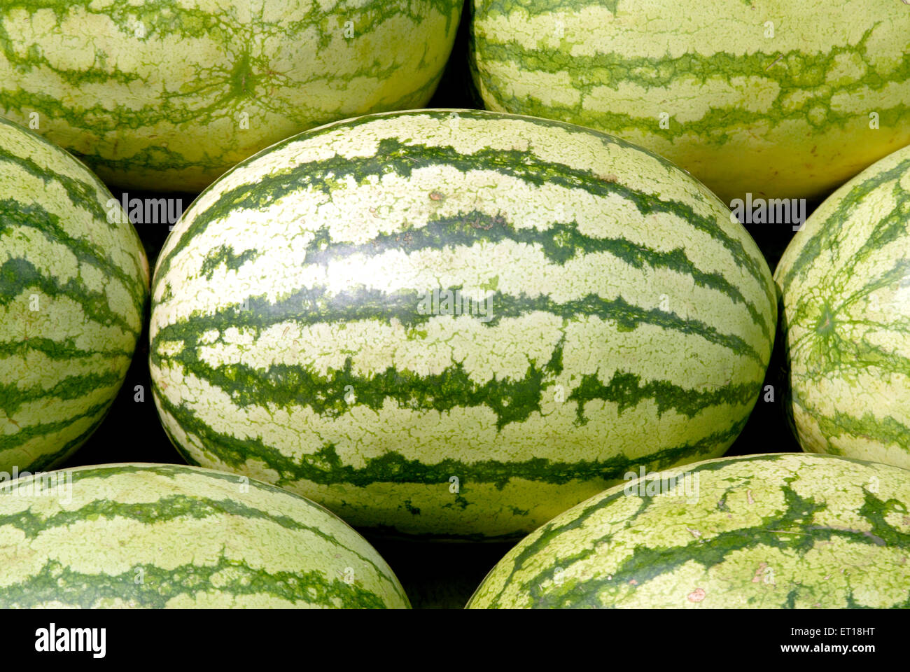 watermelon fruits, Citrullus lanatus Stock Photo - Alamy