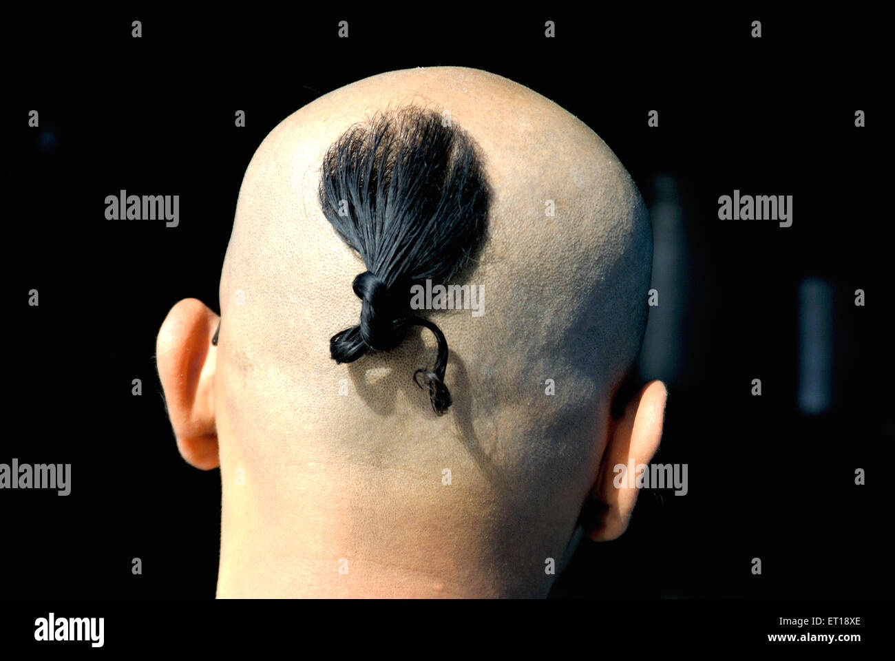 Bald man with ponytail November 2008 No MR Stock Photo - Alamy