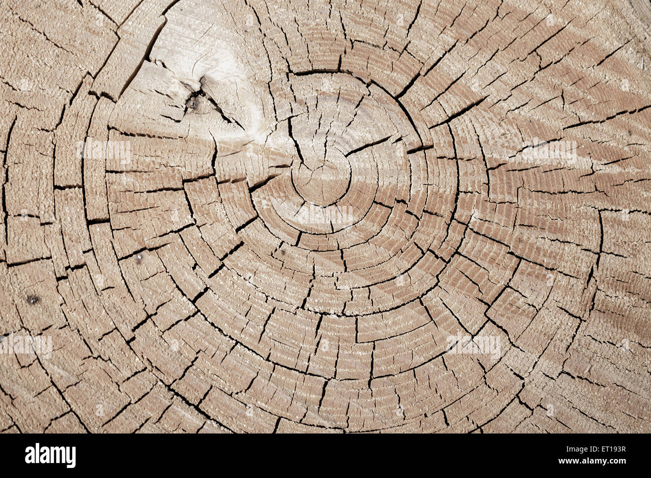 logs wooden background texture Stock Photo - Alamy