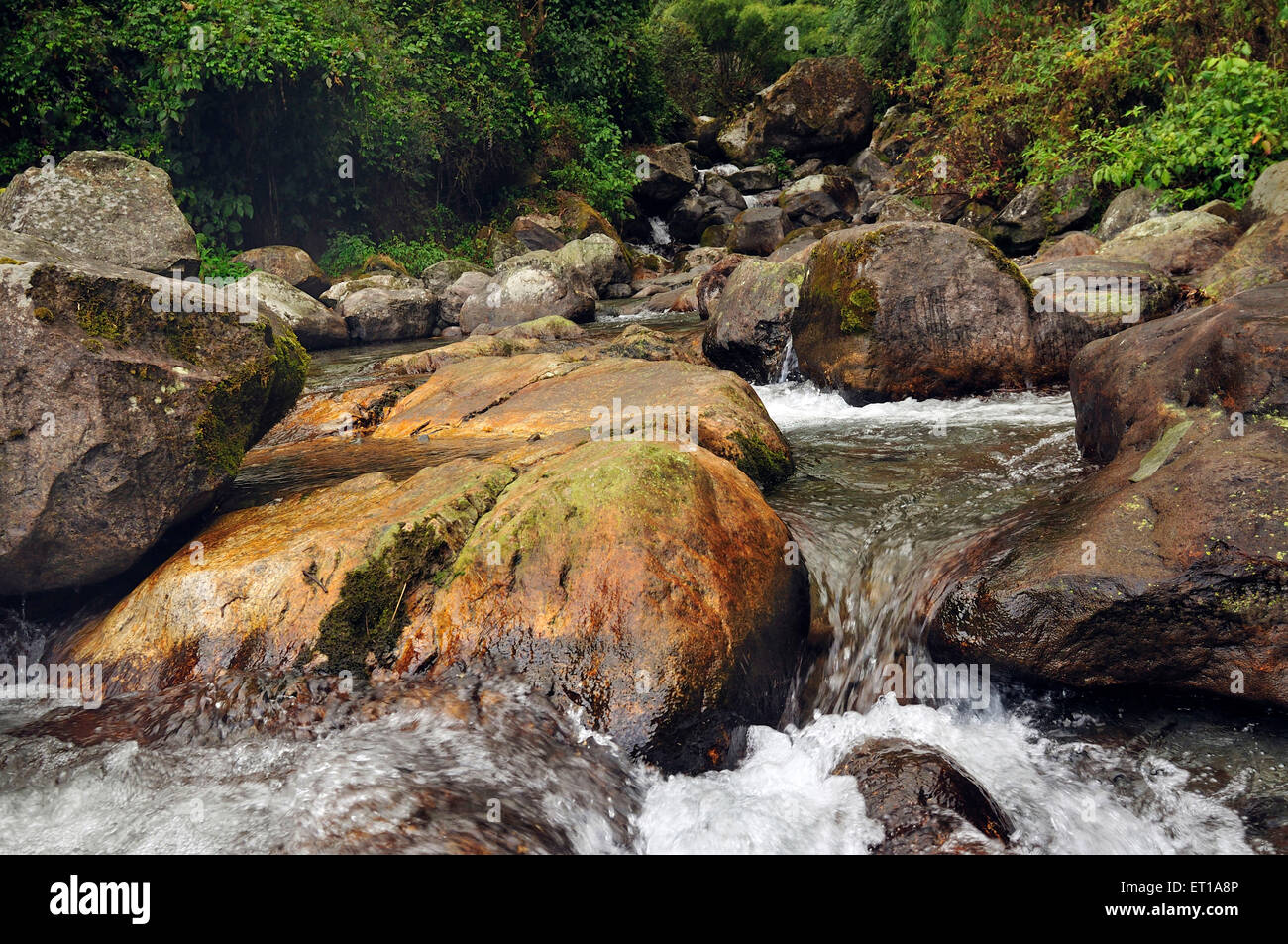 Water Flowing Through Rocks Reshi River Reshikhola Sikkim India Asia ...