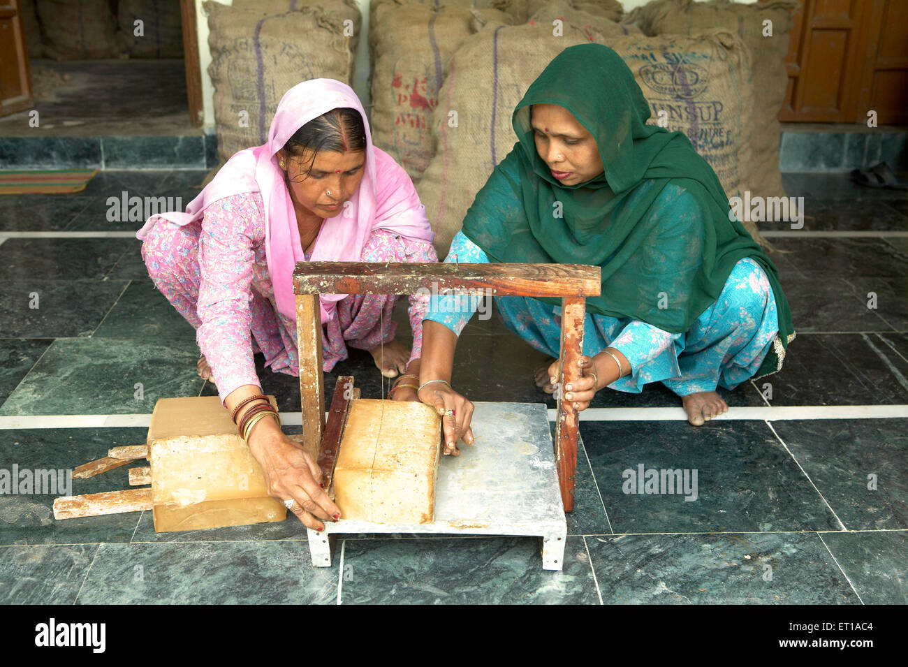 Rural women cutting washing soap, NGO, Chinmaya Organization of Rural ...