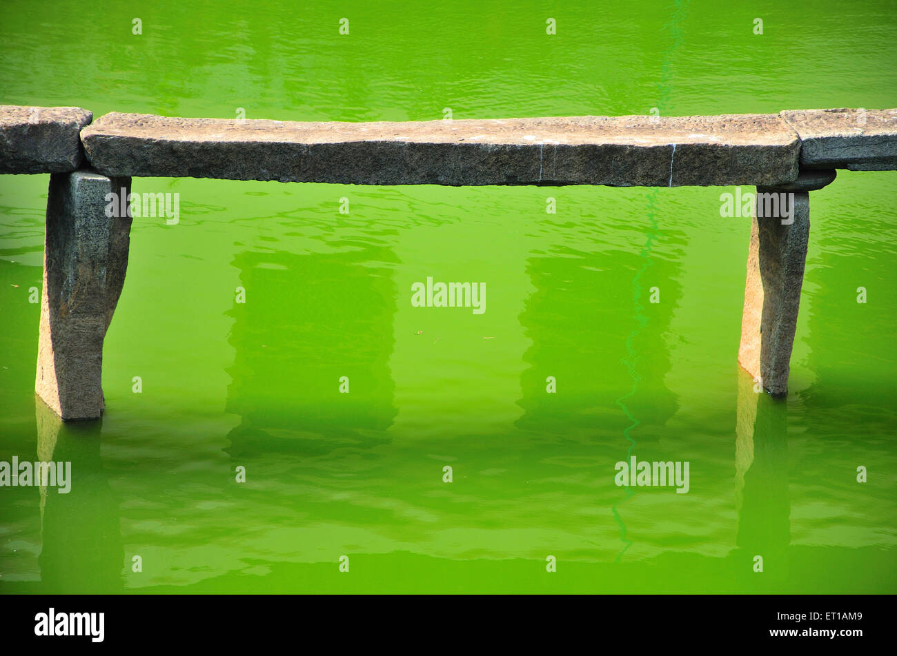 Temple pond bridge ; Shri Krishna Matha ; Shri Krishna Math temple ...