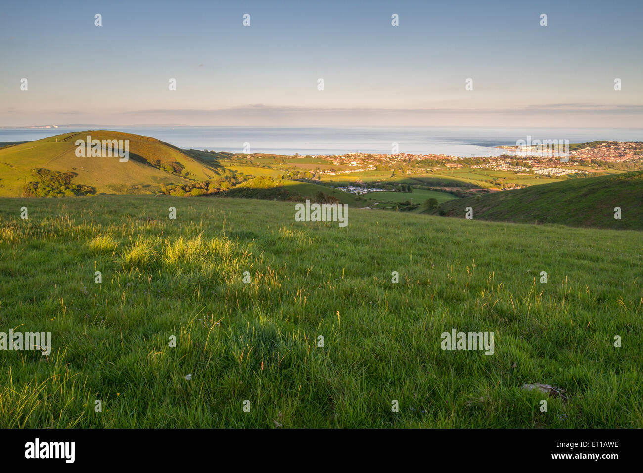 Grass field top view hi-res stock photography and images - Alamy