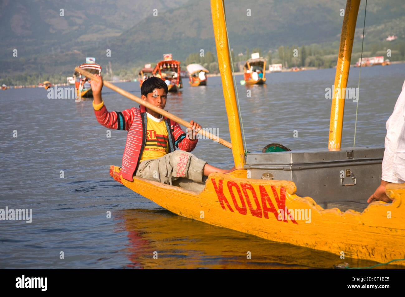 Boy rowing shikara in dal lake Srinagar ; Jammu and Kashmir ; India ...