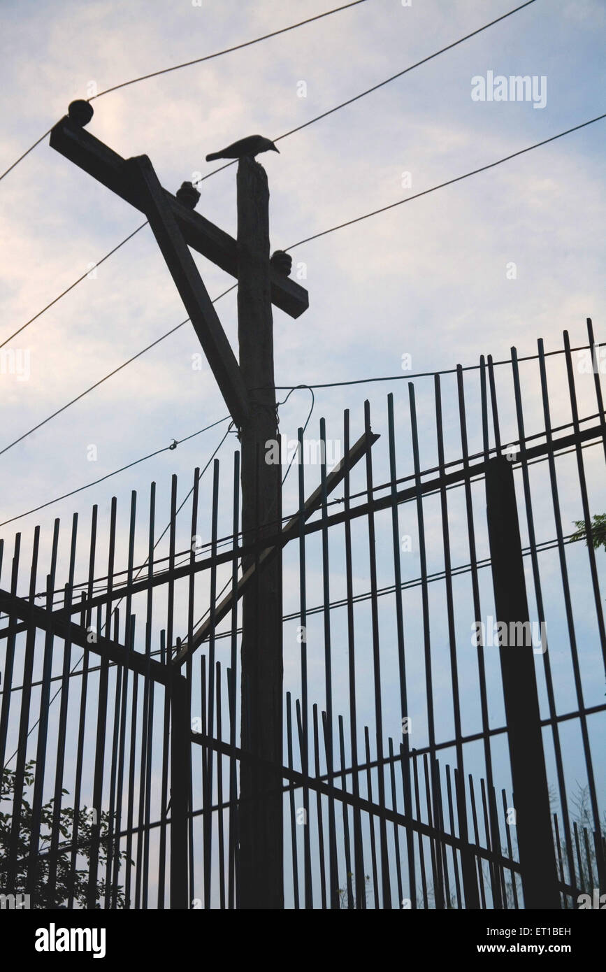 Wooden electricity pole ; Srinagar ; Jammu and Kashmir ; India Stock ...