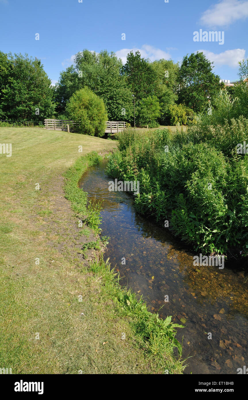Ladywell fields lewisham trees hi-res stock photography and images - Alamy