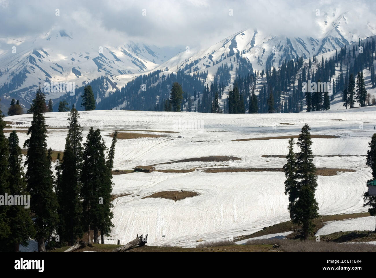 Gulmarg Stock Photos & Gulmarg Stock Images - Alamy