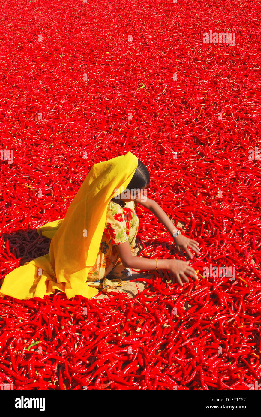 Mathania hi-res stock photography and images - Alamy