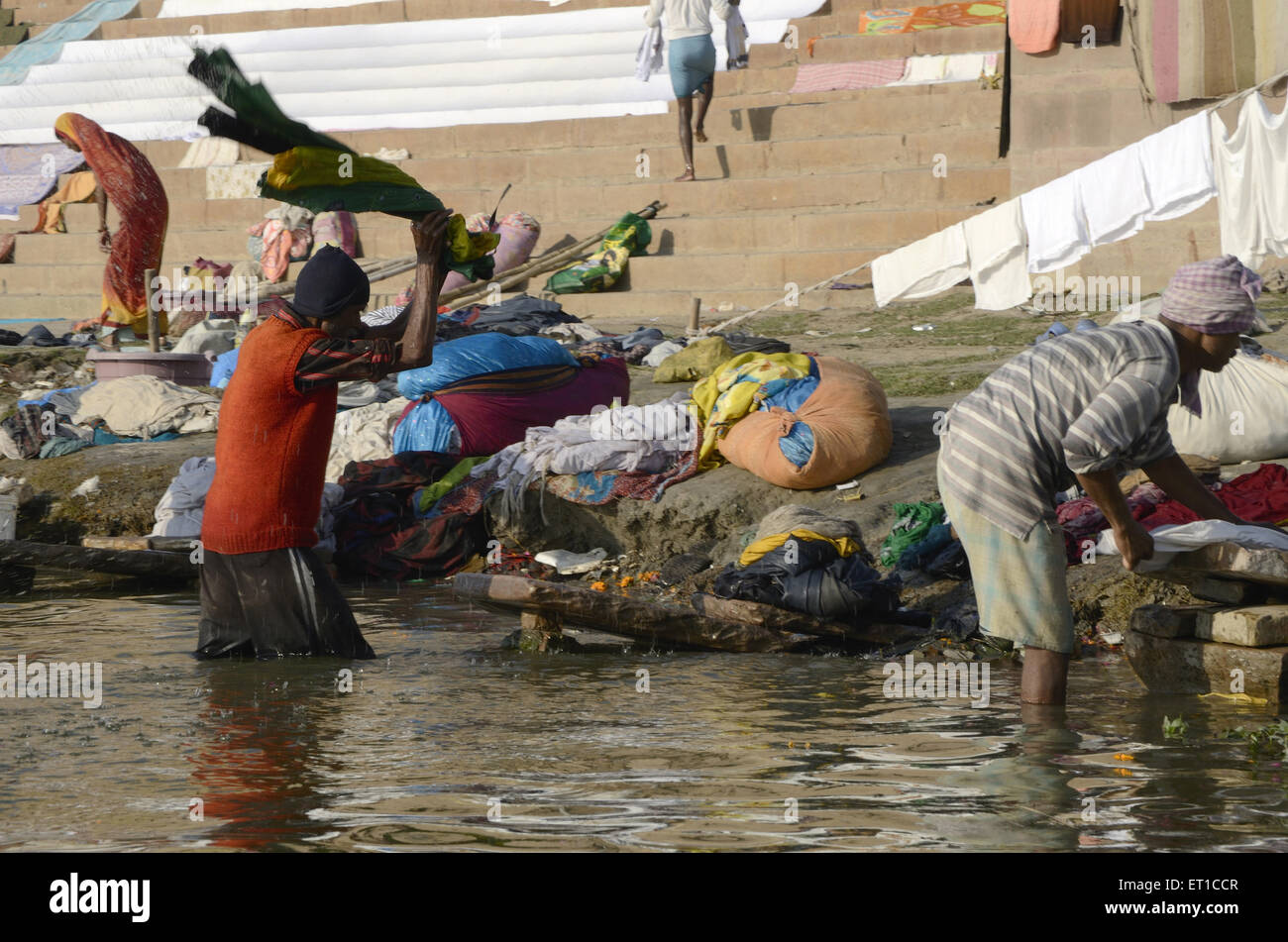 Washermen washing clothes in Ganga river at Varanasi Ghat Uttar Stock ...