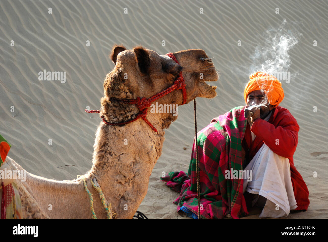 Camel and man smoking in desert in Khuri Khuhri ; Jaisalmer ; Rajasthan ...