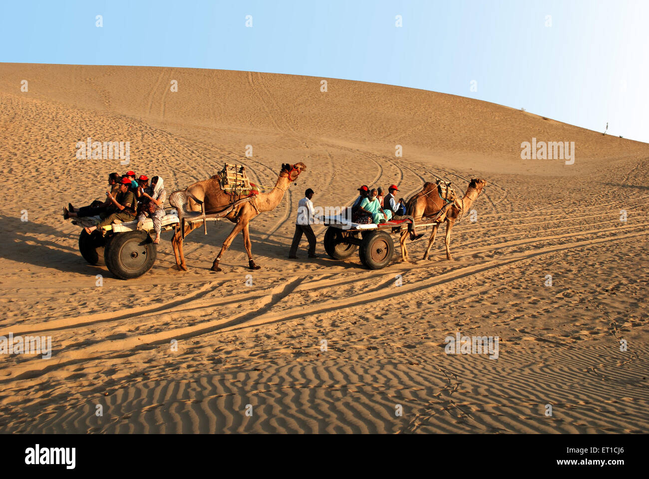 Tourists on camel cart safari ; Khuhri ; Jaisalmer ; Rajasthan ; India ...