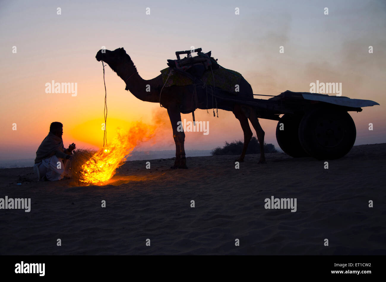 Man with Camel Warming Fire at The Time of Sunrise Jaisalmer Rajasthan ...