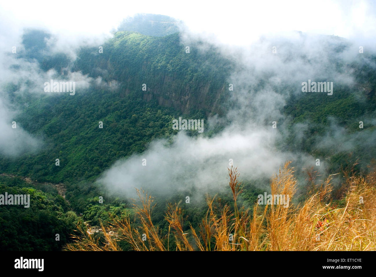 Mawsmai falls cherrapunji india hi-res stock photography and images - Alamy