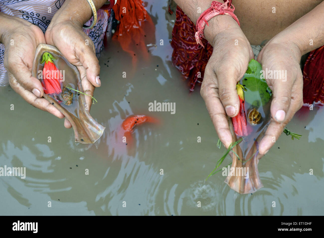 Tarpan hi-res stock photography and images - Alamy