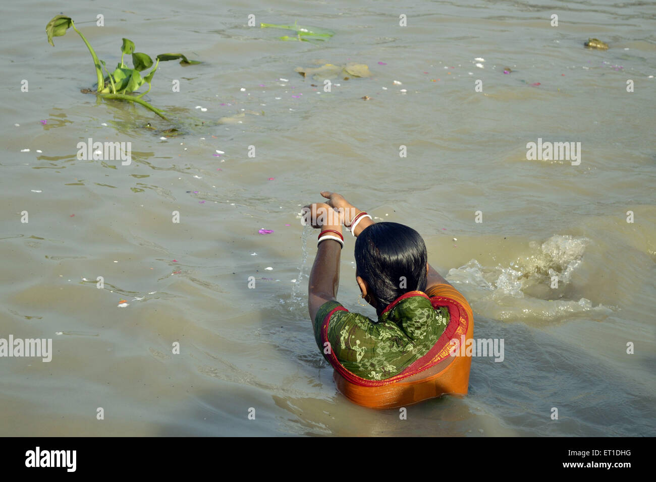 Performing tarpan hi-res stock photography and images - Alamy