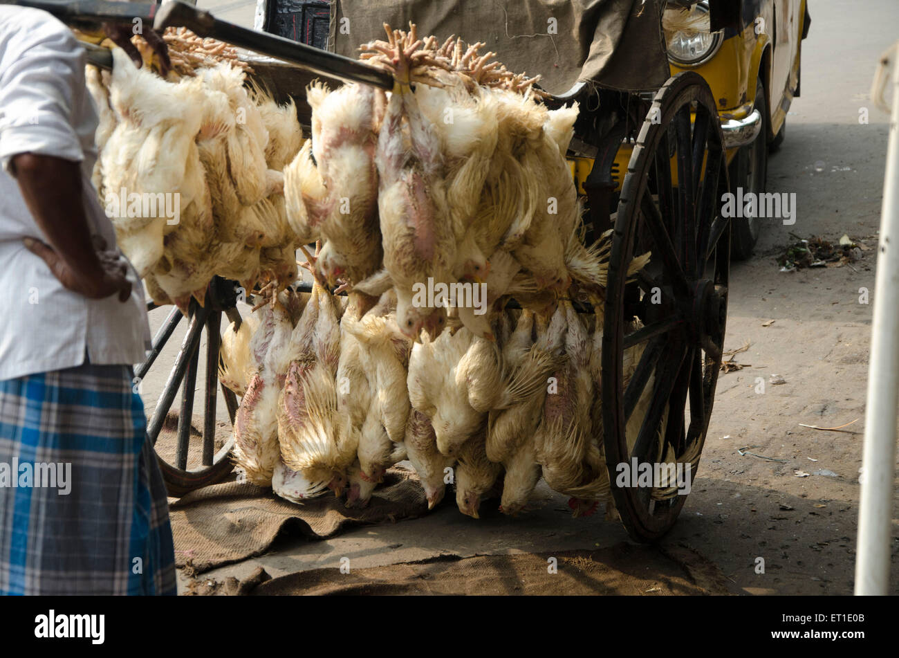 chickens hanging hand rickshaw Kolkata West Bengal India Asia Stock ...