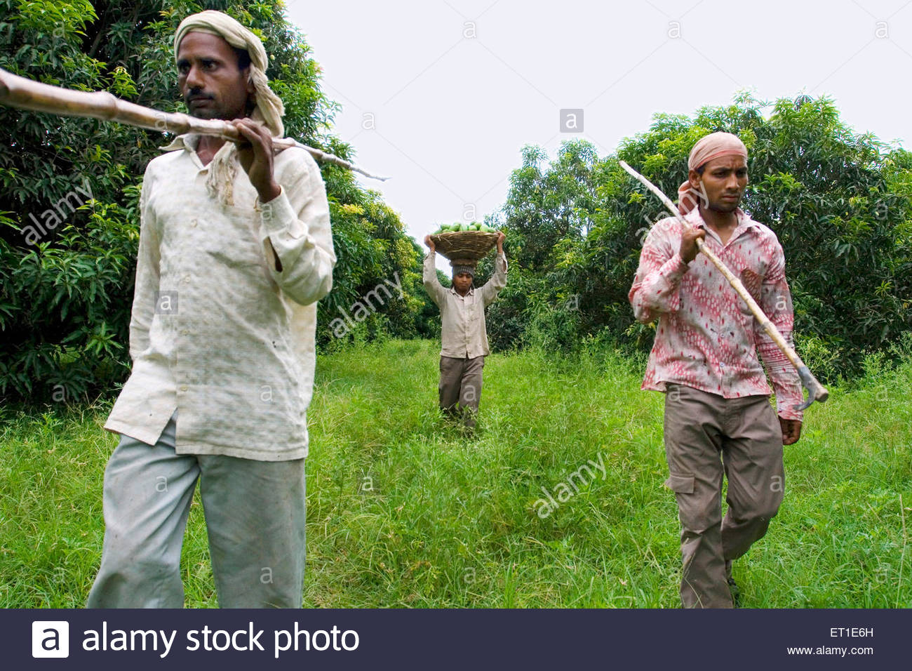 India Hook Man High Resolution Stock Photography and Images - Alamy