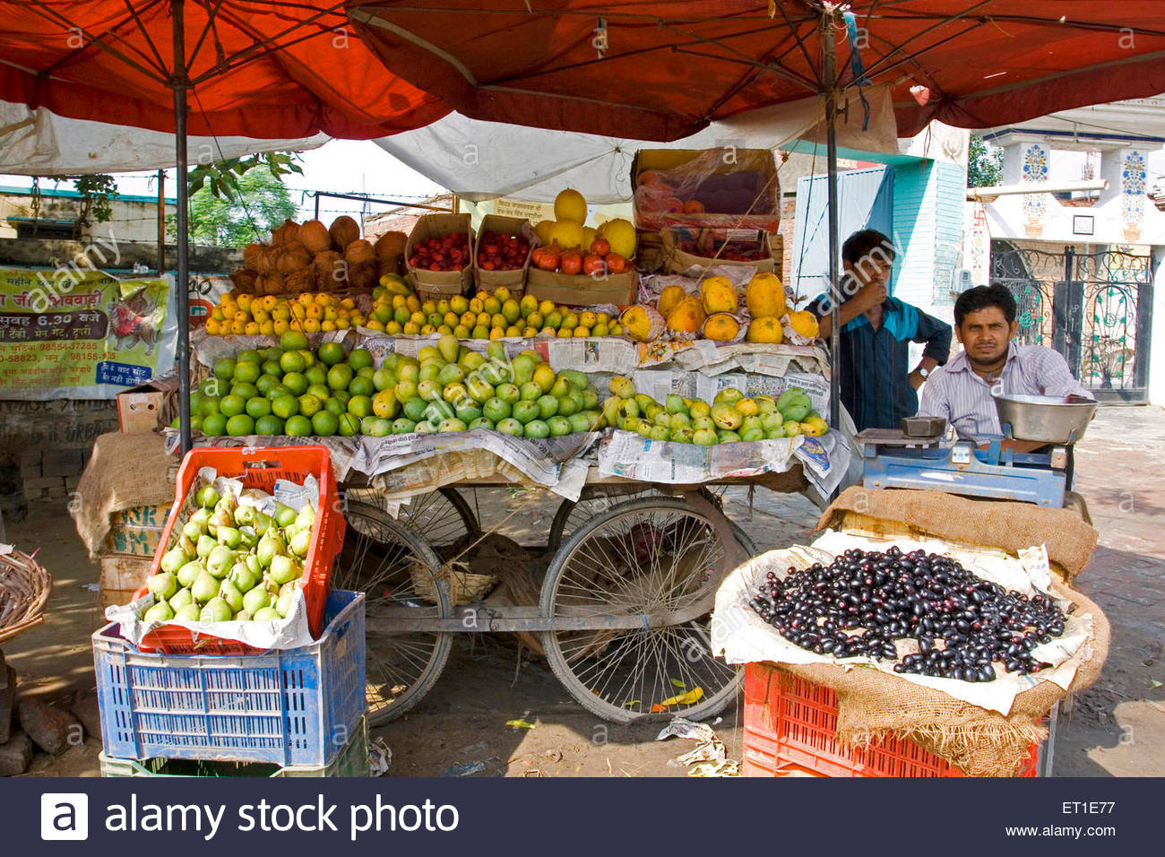 Indian Hawker Stock Photos & Indian Hawker Stock Images - Alamy