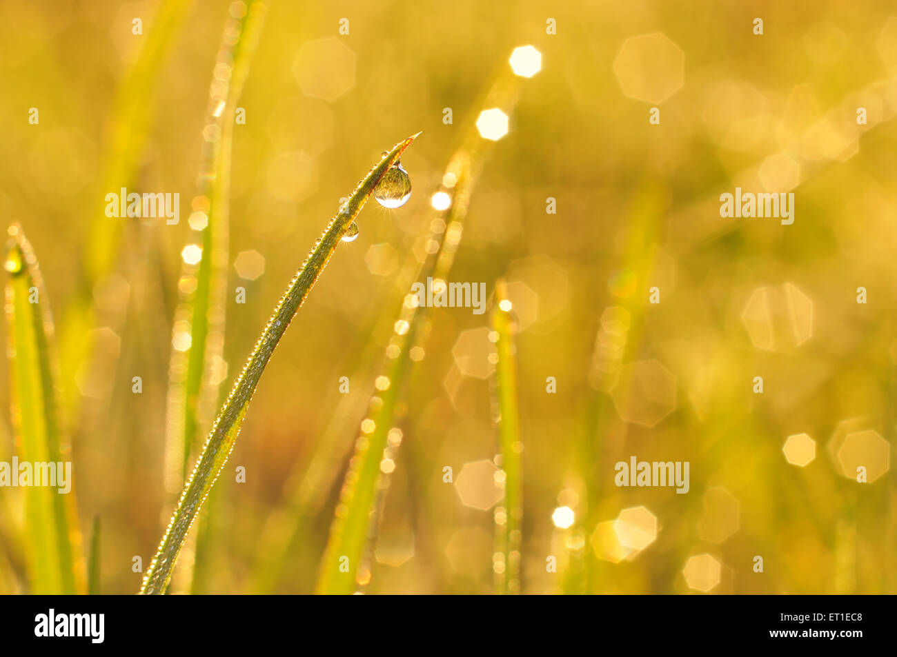 Morning sunrise background hi-res stock photography and images - Alamy