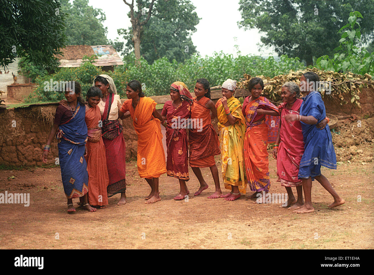 Tribal dance ; gaund madia ; Chhattisgarh ; India NO MR Stock Photo - Alamy
