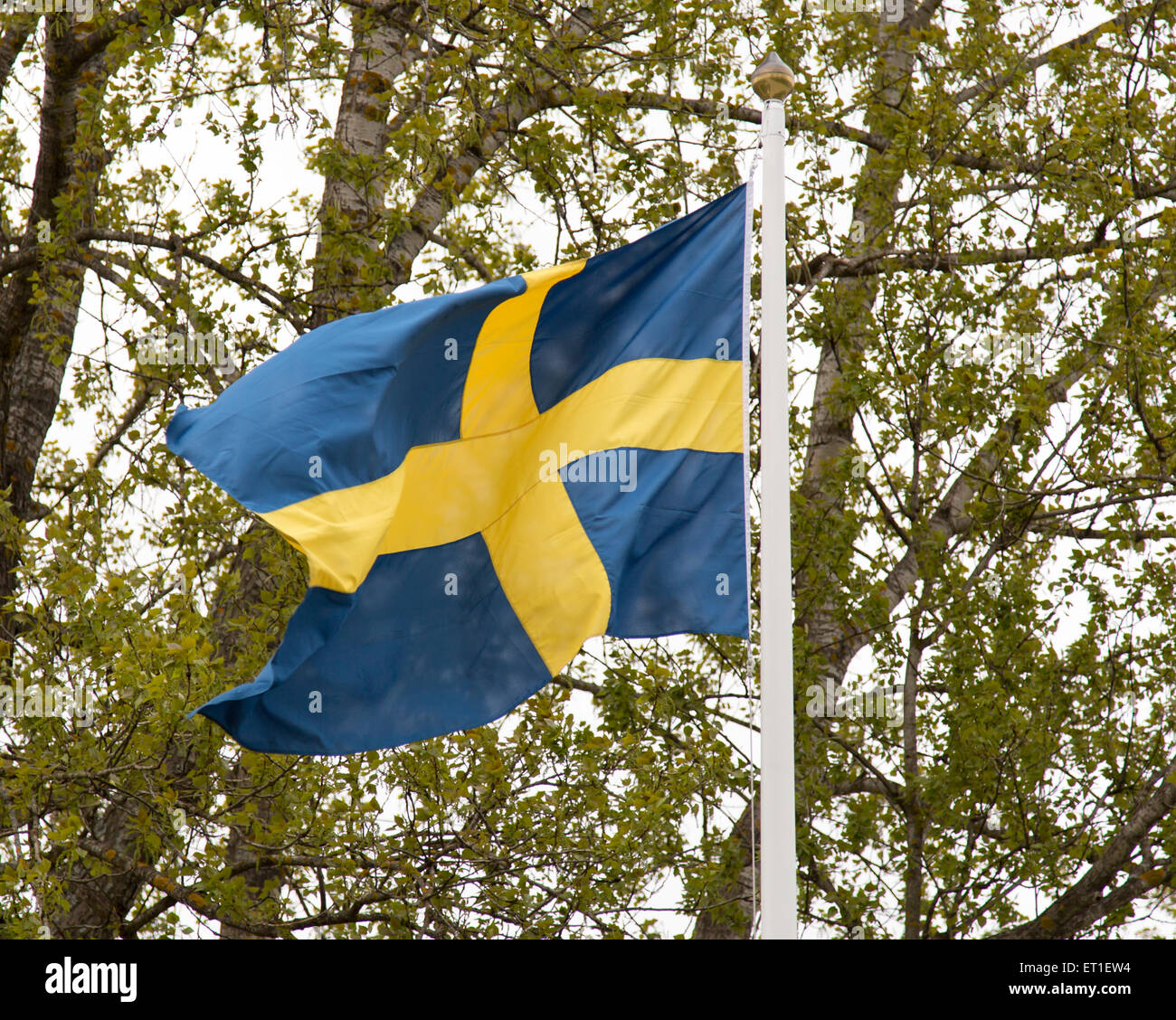 Swedish Flag Waving Stock Photo - Alamy
