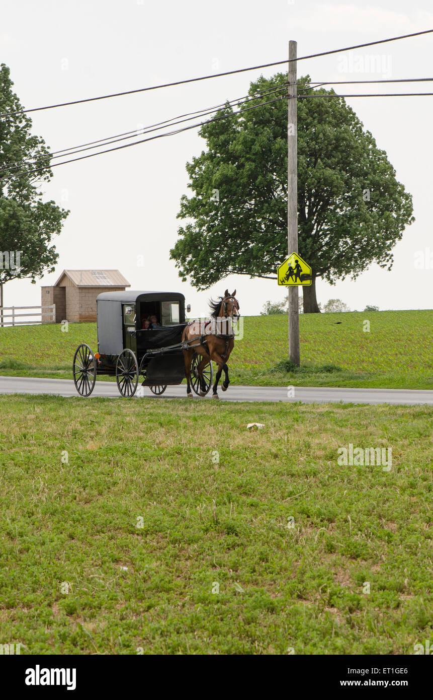 An Amish family riding in a traditional Amish buggy in Lancaster county ...