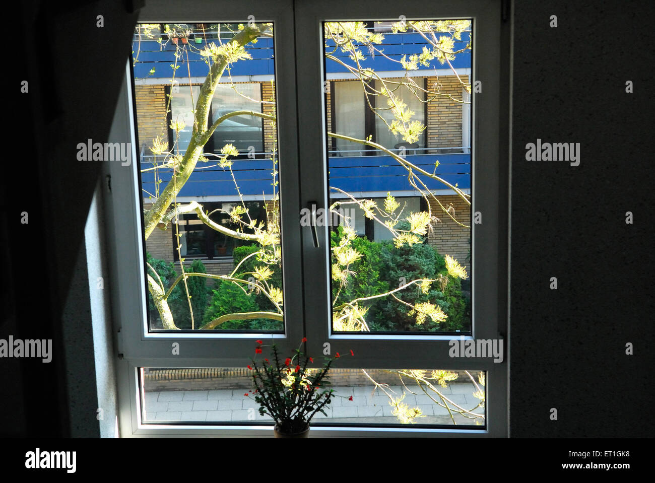 View from window, Berlin, Germany, German, Europe, European Stock Photo ...