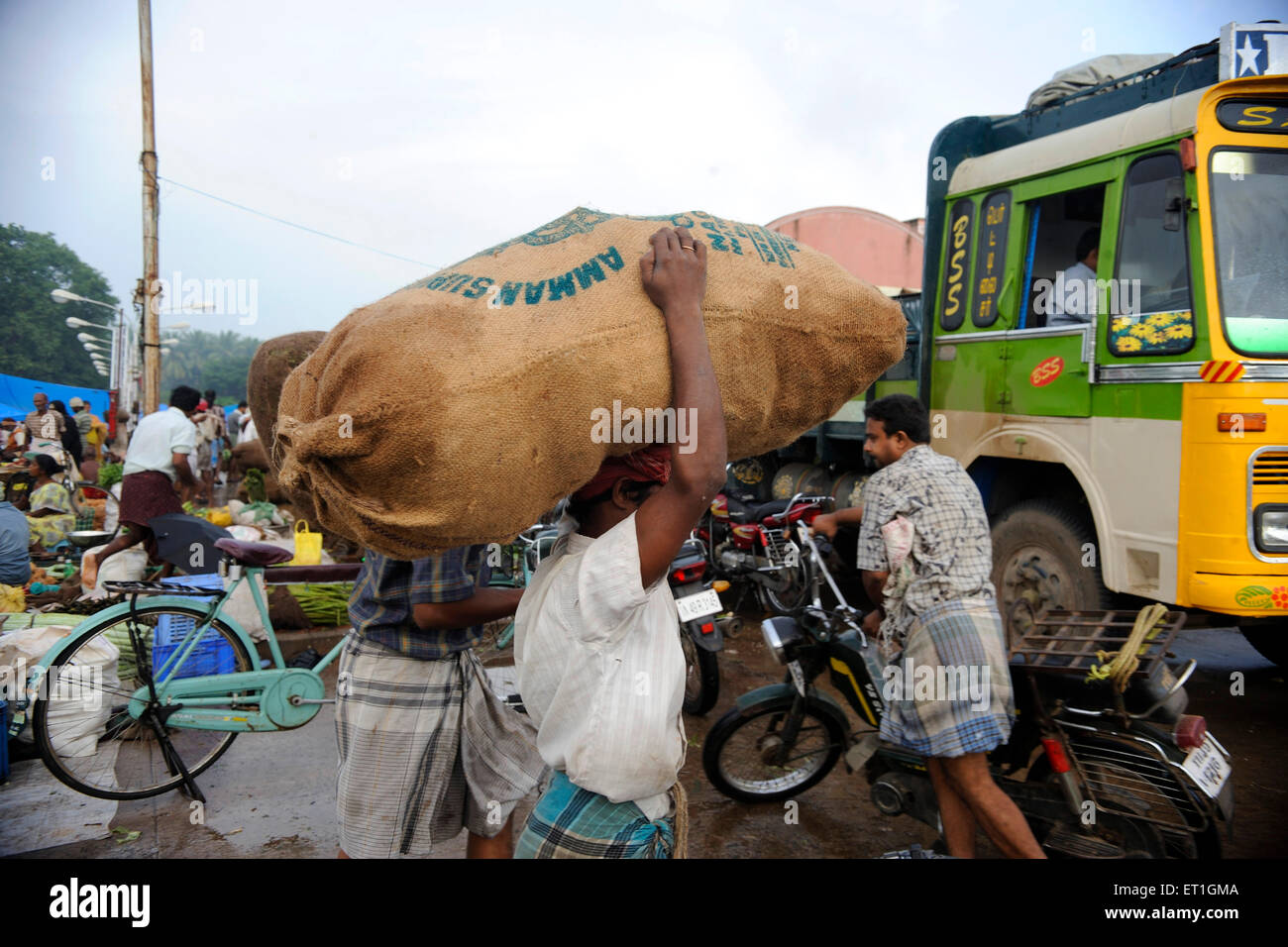 Man carrying jute sack ; Tanjore ; Thanjavur ; Tamil Nadu ; India Stock ...