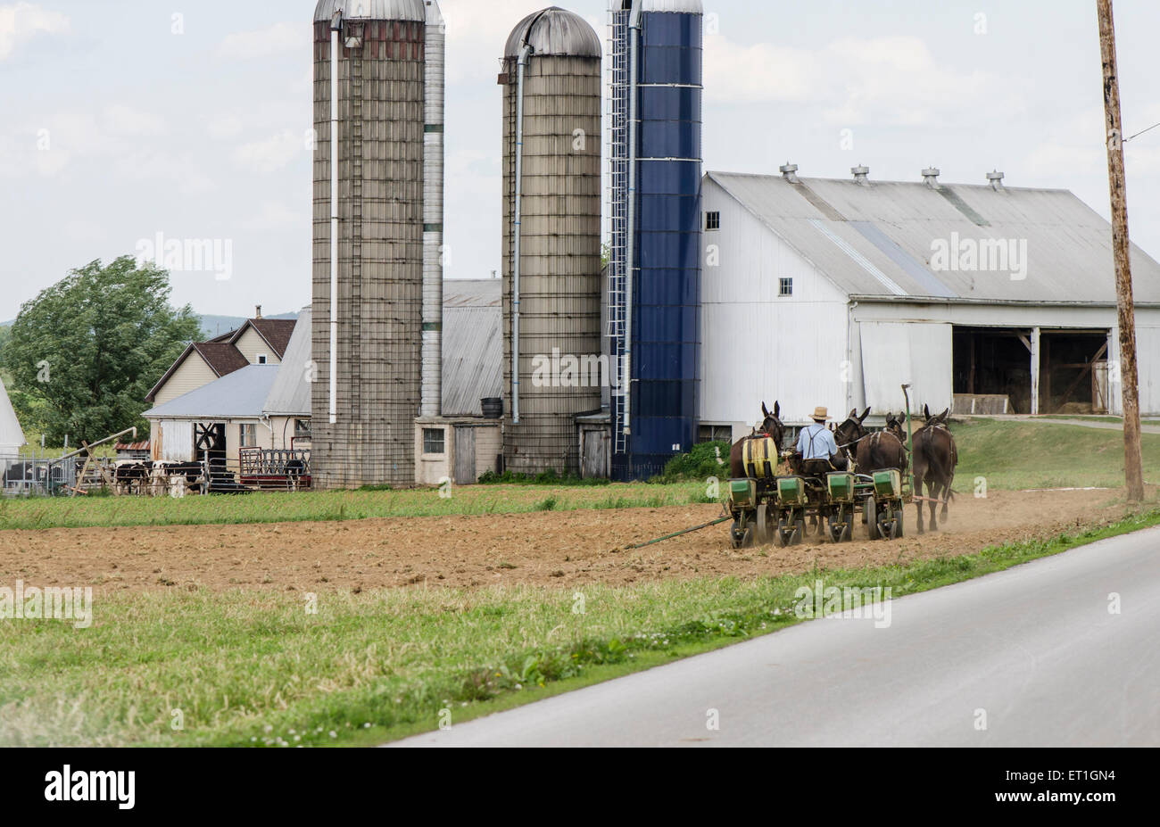 Amish farmers farm people hi-res stock photography and images - Alamy