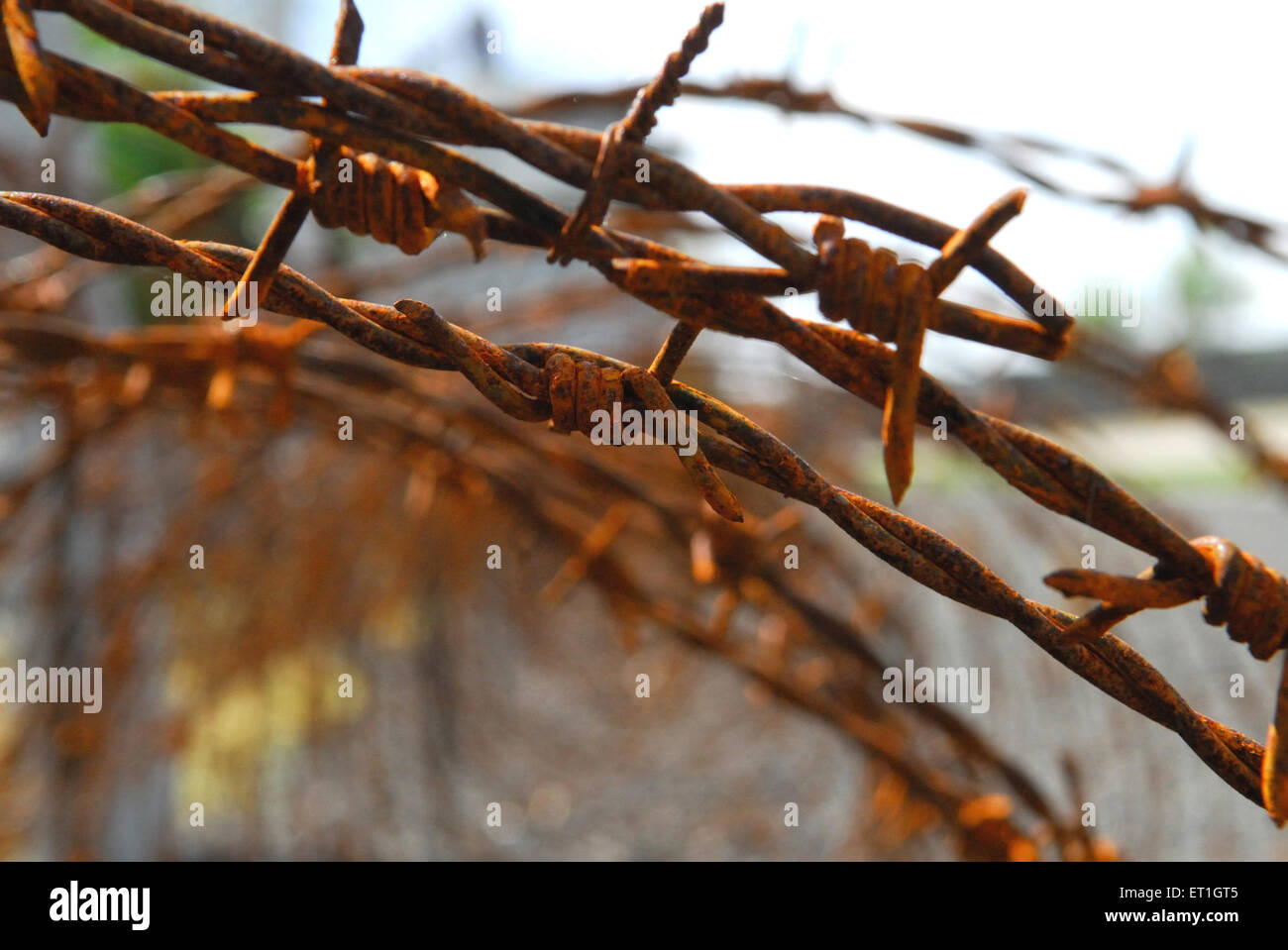 German barbed wire hi-res stock photography and images - Alamy