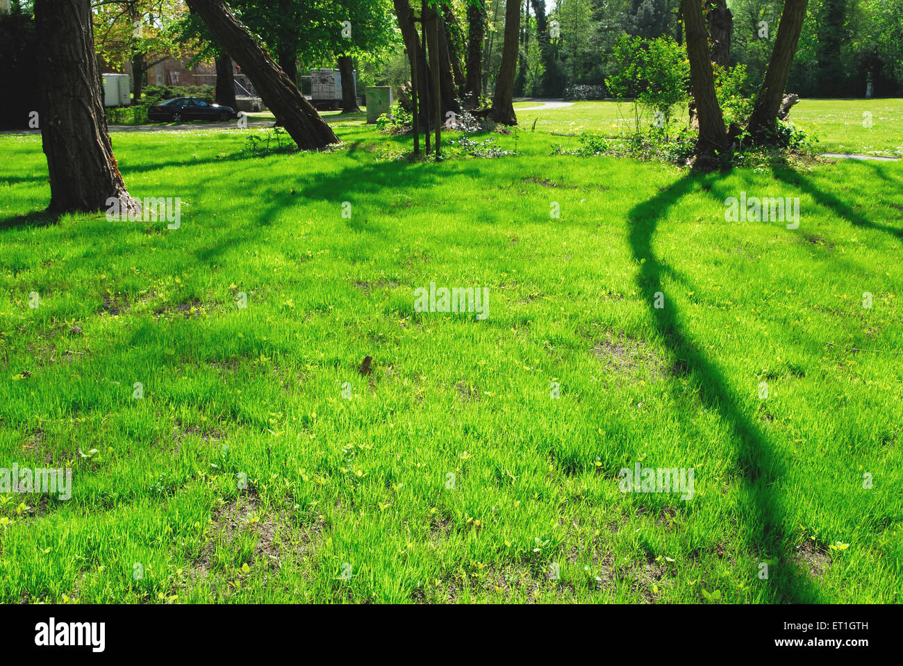 green lawn garden park trees, Berlin, Germany, German, Europe, European ...