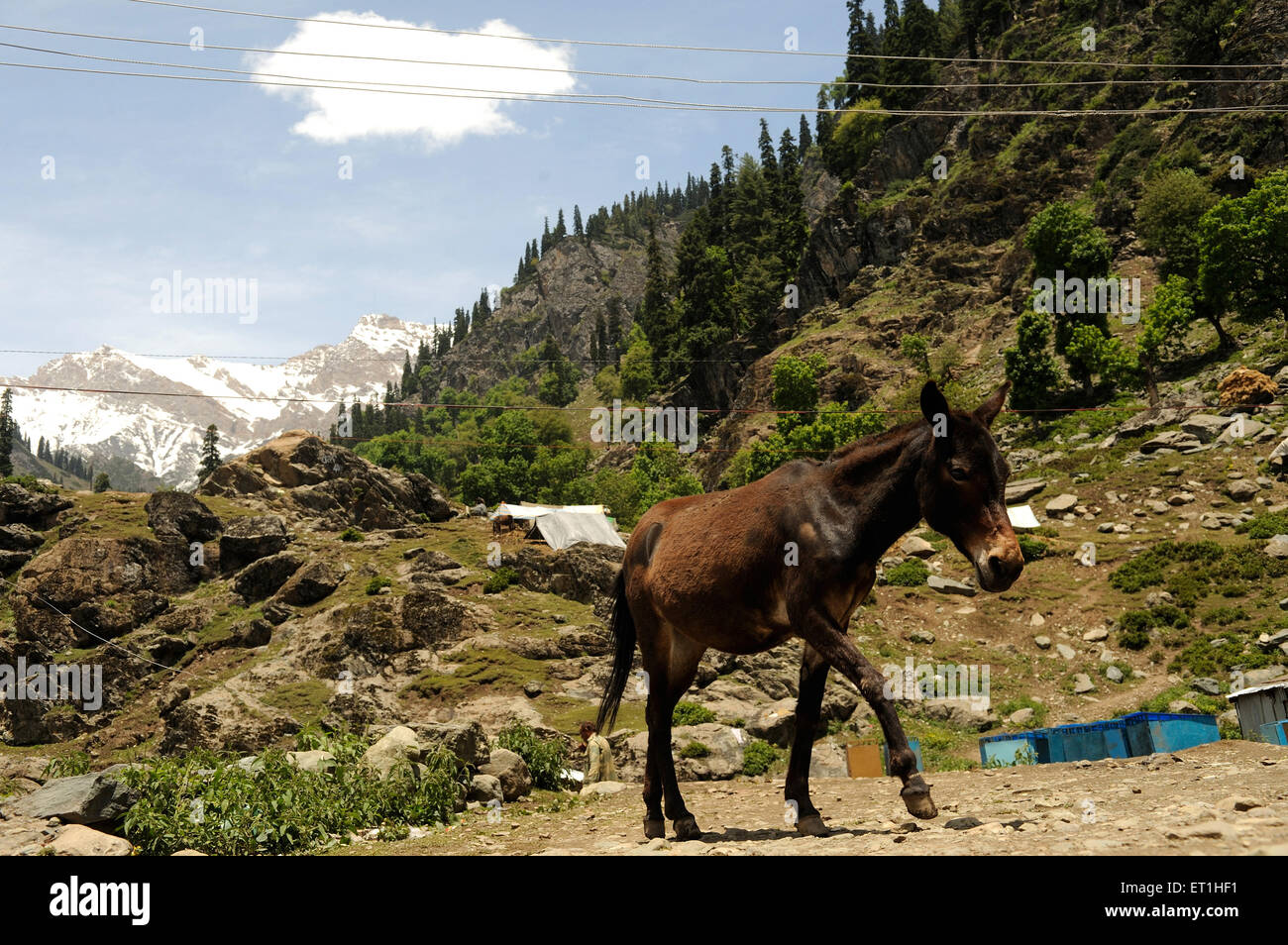 Dpa 169219 soa hi-res stock photography and images - Alamy