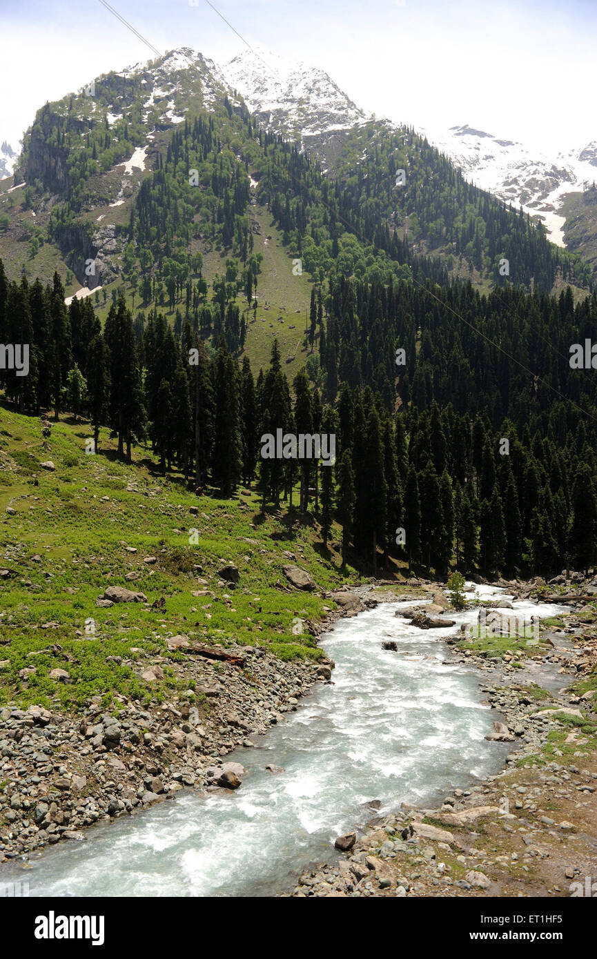 Jhelum river, Kashmir, Jammu and Kashmir, Union Territory, UT, India ...