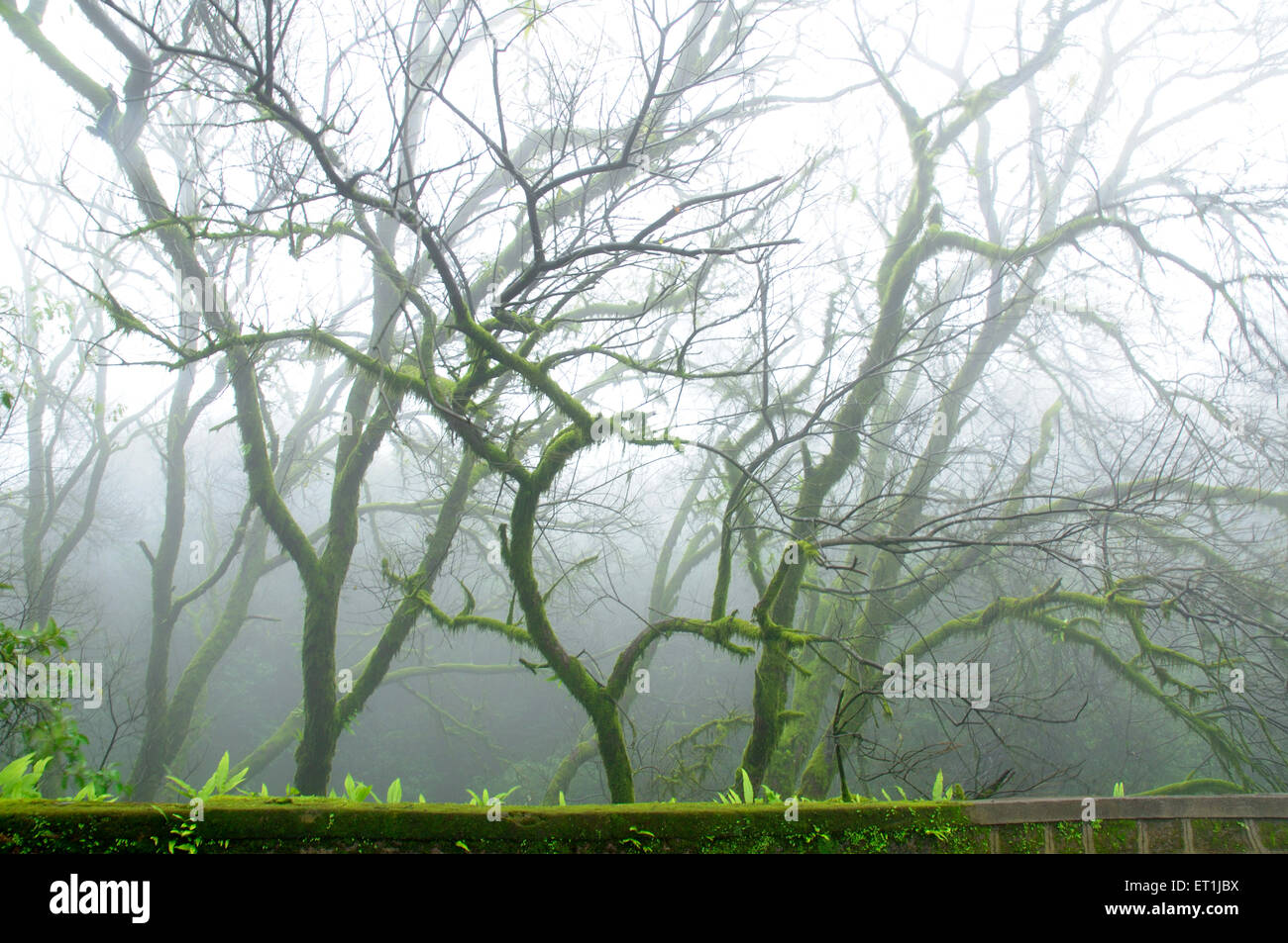 Atmosphere High Resolution Stock Photography and Images - Alamy