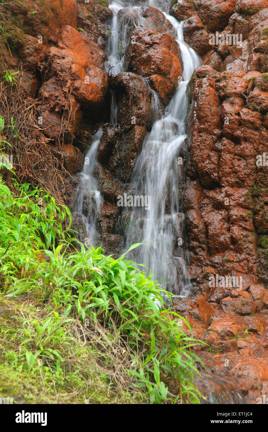 waterfall monsoon greenery, Mahabaleshwar, Maharashtra, India, Asia ...