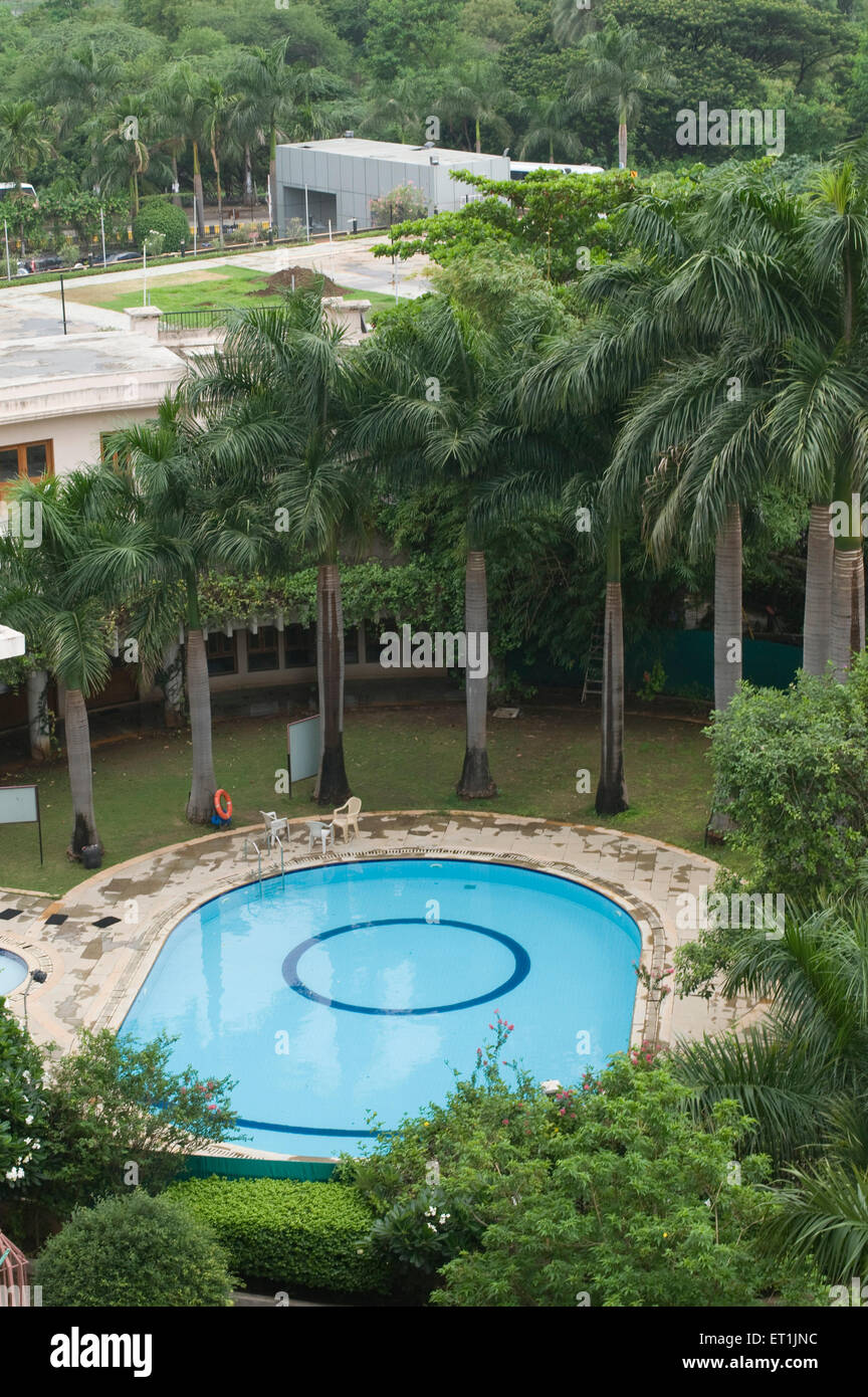 Swimming pool with palm trees Pune Maharashtra India Asia Stock Photo ...