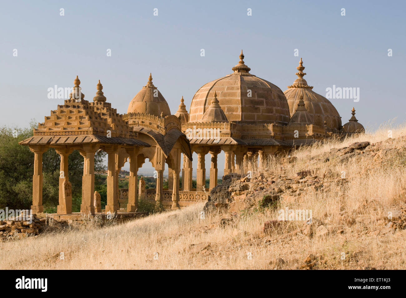 bada bagh jaisalmer rajasthan India Asia Stock Photo - Alamy