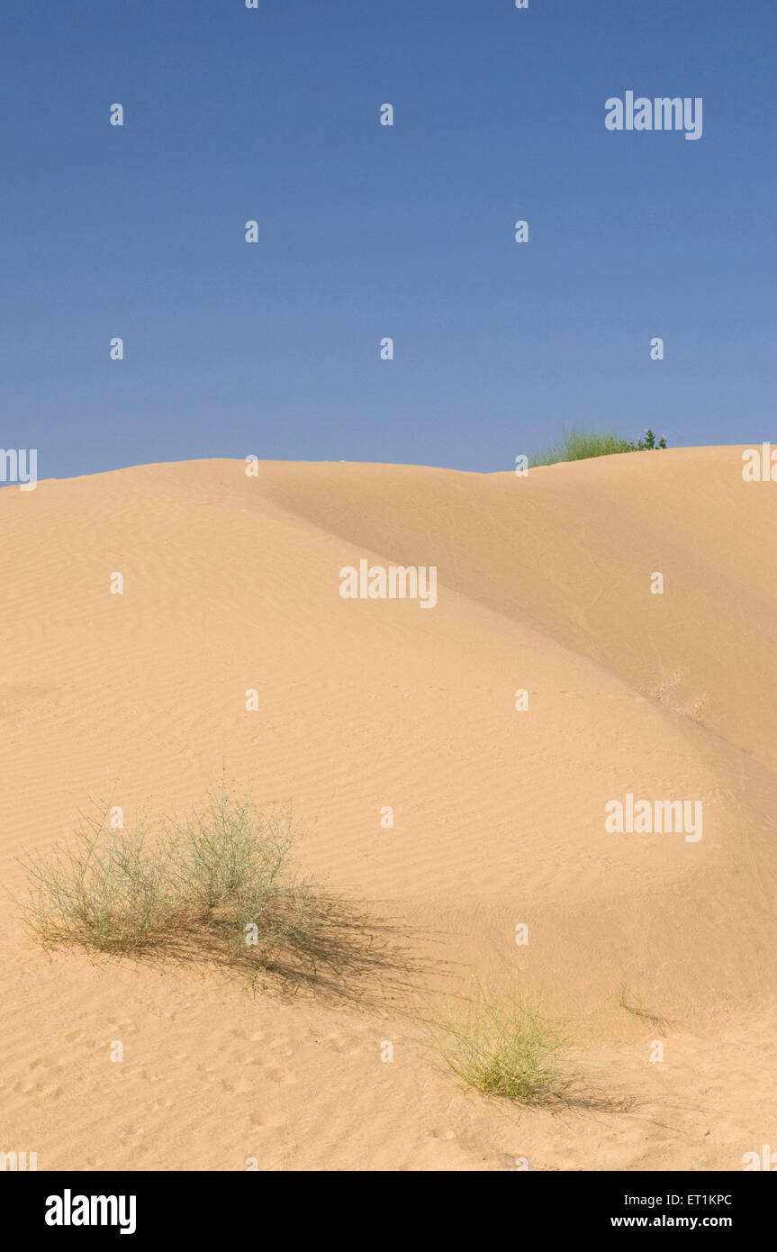 Rajasthan desert hi-res stock photography and images - Alamy