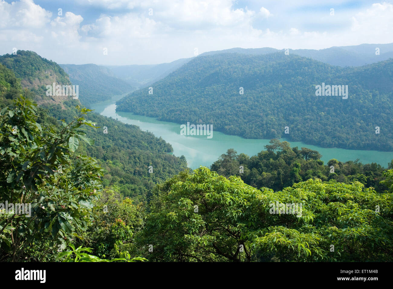 River sharavati at sharavati valley wildlife sanctuary ; shivamoga ...