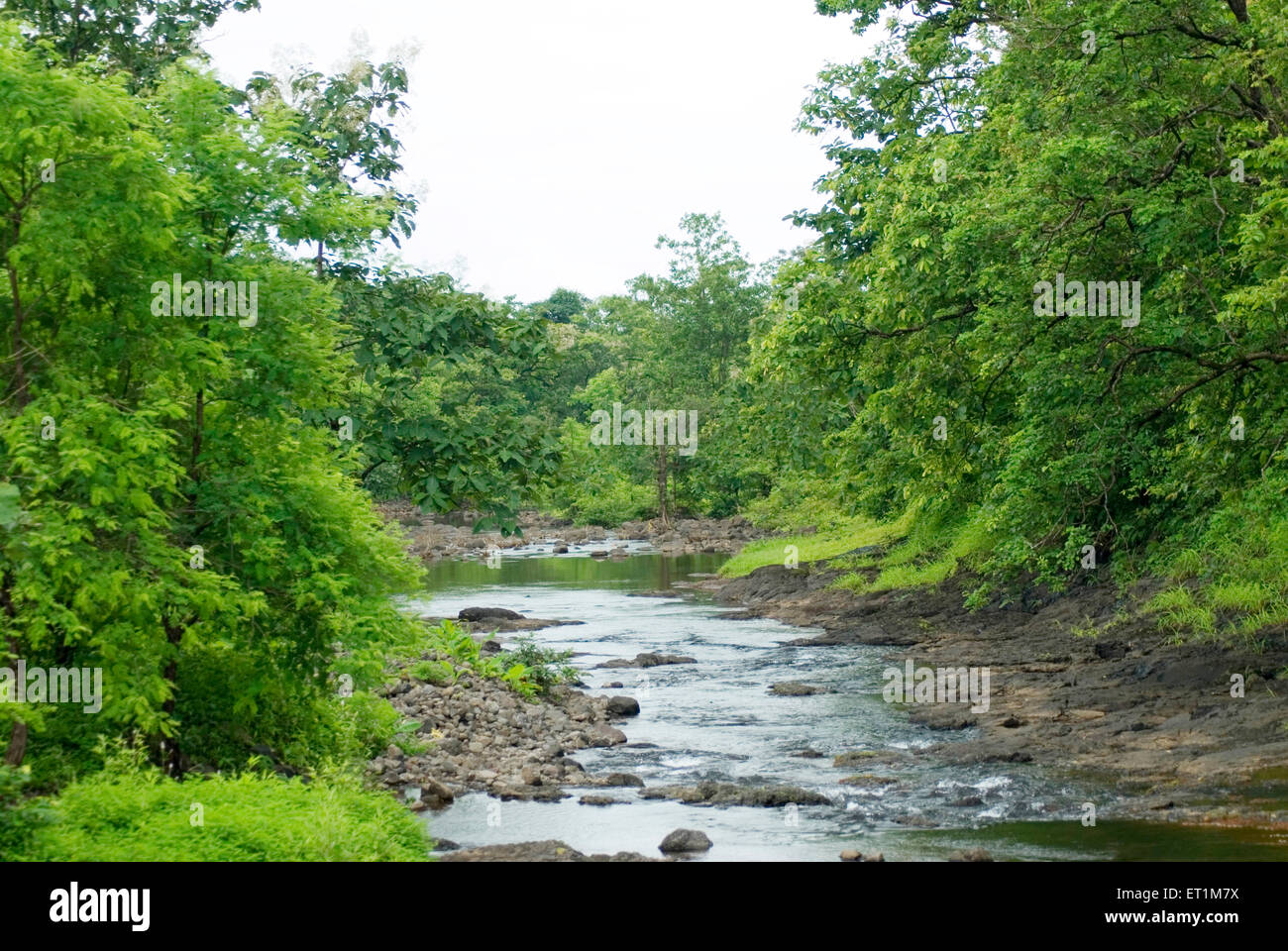 Thana Maharashtra Stock Photos Free Royalty-Free Stock, 53% OFF