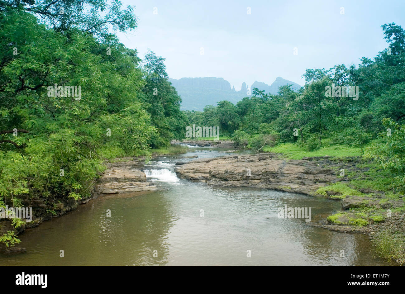 View of river and Mahuli mountain in monsoon ; Shahapur district ...