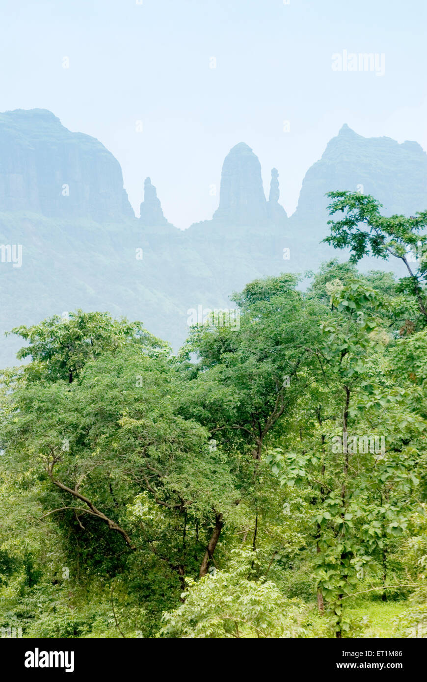 View of fort and mountain Mahuli in monsoon ; Shahapur district ; Thane ...
