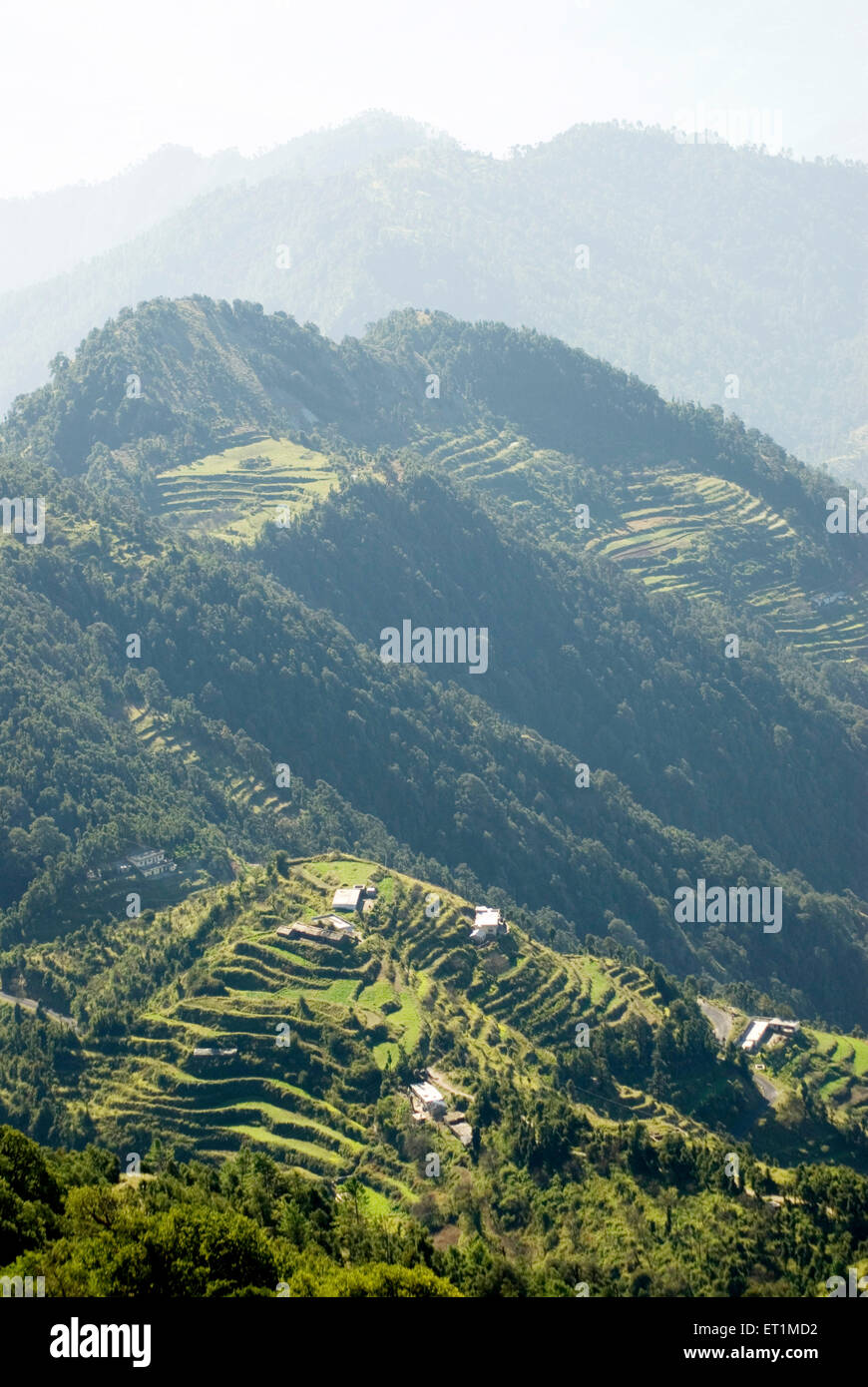 Agriculture farming himalaya hi-res stock photography and images - Alamy
